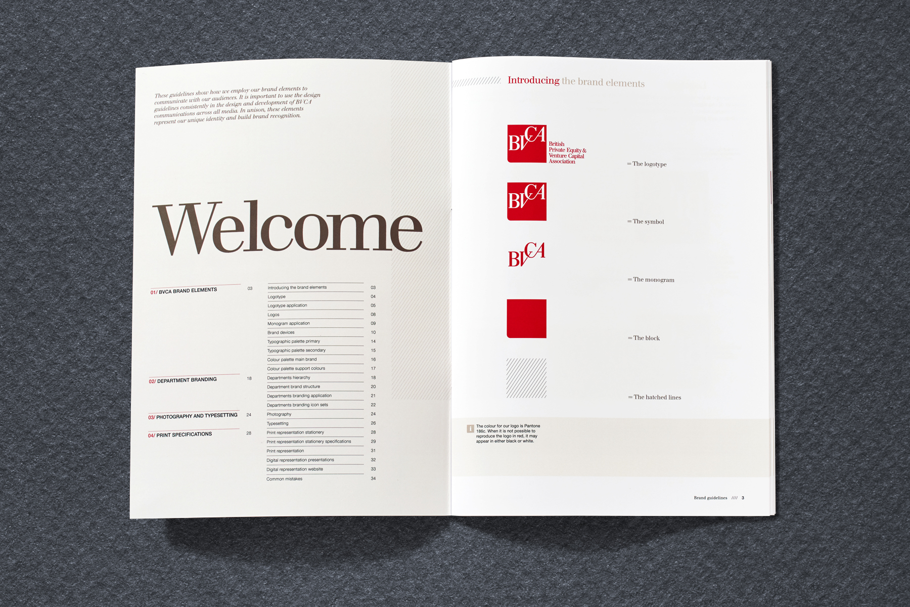 BVCA | Branding | Marketing | Iconography | Visual Identity