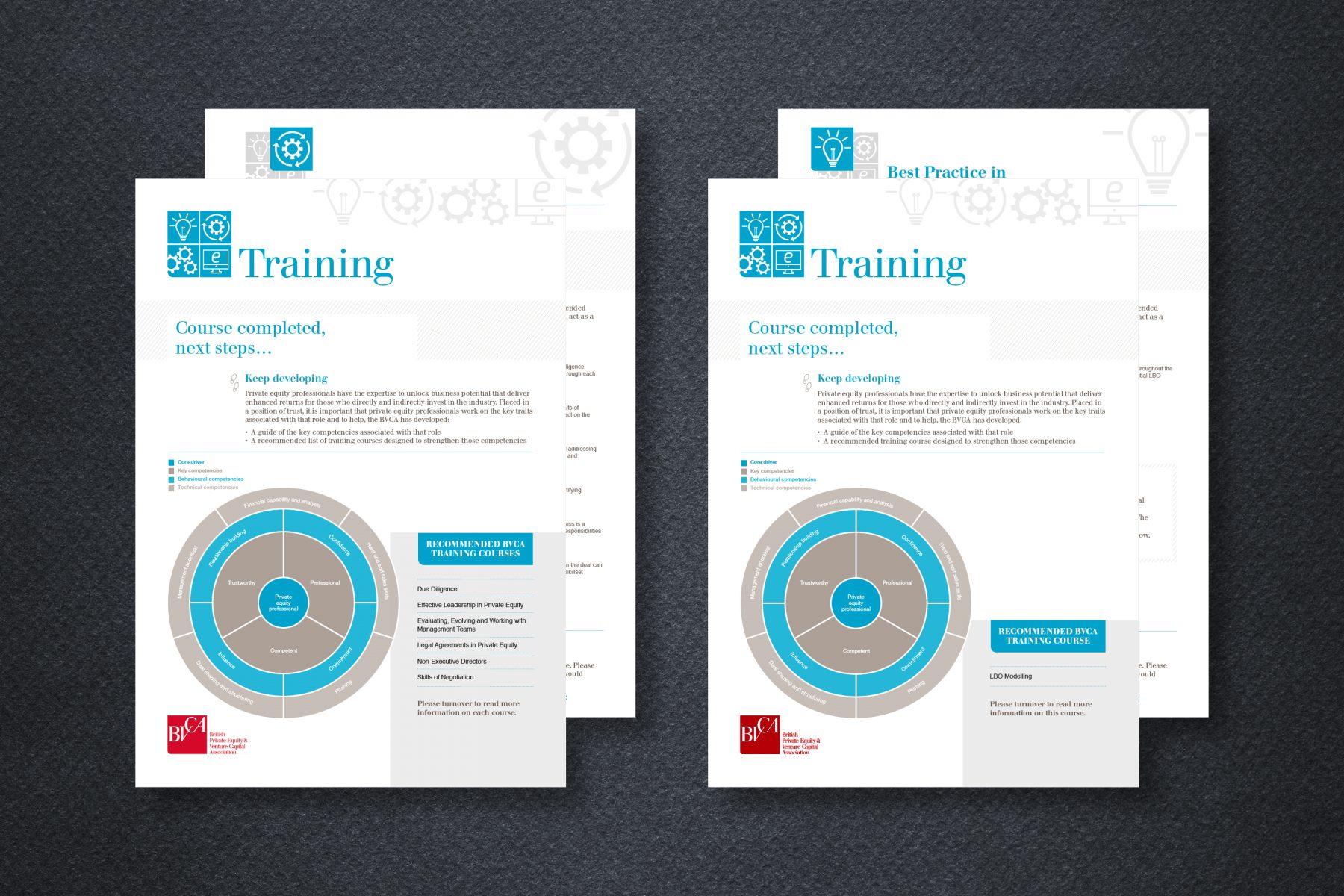 BVCA | Branding | Marketing | Iconography | Visual Identity