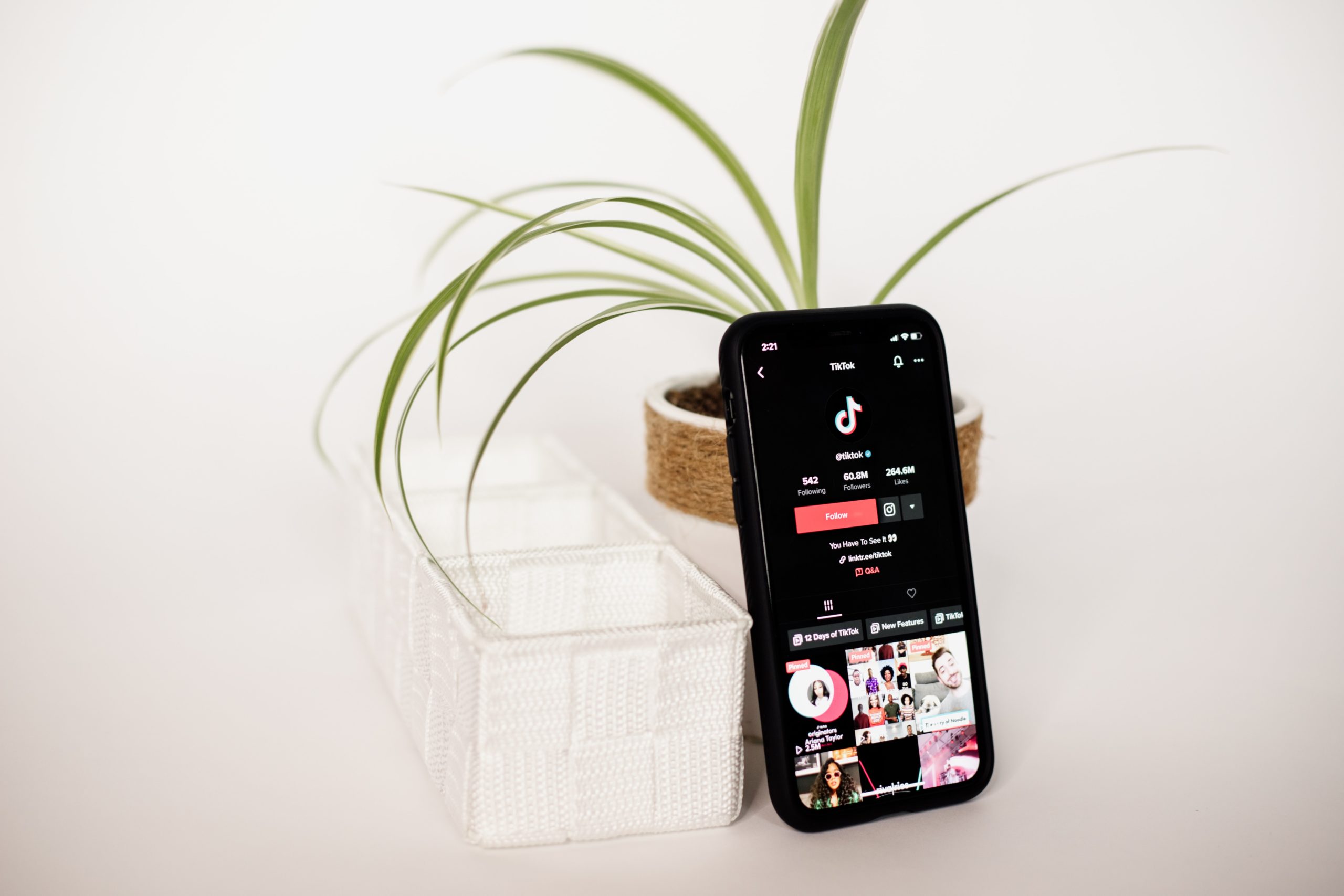 Trends that make us TikTok... - Visual Identity